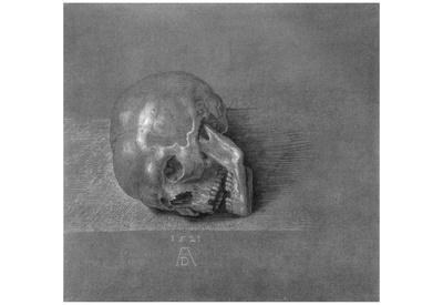 'Albrecht Durer (Study on the "St. Jerome ": skull) Art Poster Print ...