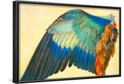 'Albrecht Durer Wing of a Blaurake Art Print Poster' Prints ...