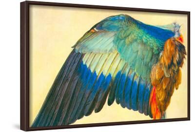 'Albrecht Durer Wing of a Blaurake Art Print Poster' Prints ...