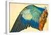 'Albrecht Durer Wing of a Blaurake Art Print Poster' Prints ...