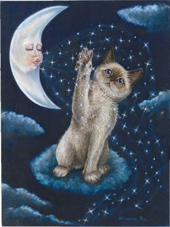 Playing with the Moon - Alessandra Rosi | AllPosters.com