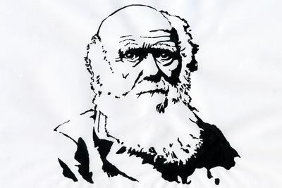 Portrait of Charles Darwin - Portrait of the English Naturalist Charles ...