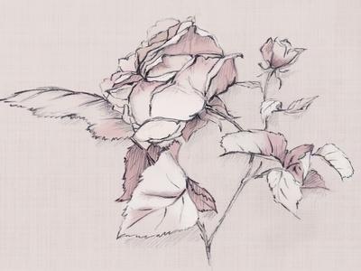 'Blush Floral Flourish' Posters - Alex Black | AllPosters.com