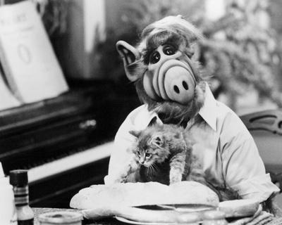 'ALF' Photo | AllPosters.com