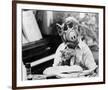 'ALF' Photo | AllPosters.com