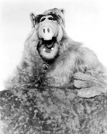 'Alf' Photo | AllPosters.com