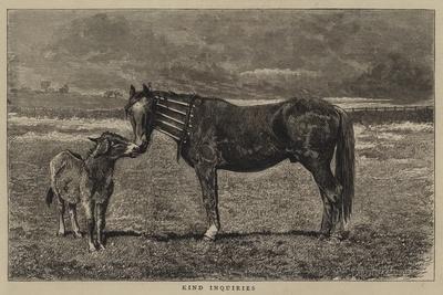 Kind Inquiries Giclee Print - Alfred Chantrey Corbould | AllPosters.com