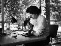 'Biologist/Author Rachel Carson Working with Microscope at Her Home ...