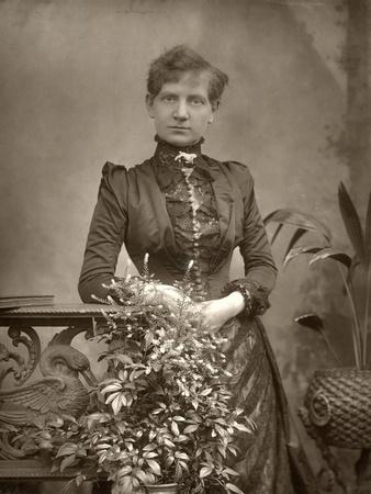 'Alice Anne Cornwell' Prints | AllPosters.com