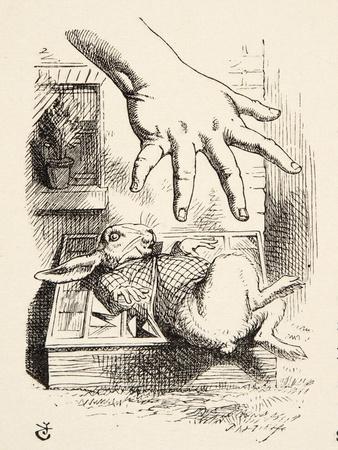 'Alice Drops the White Rabbit, from 'Alice's Adventures in Wonderland ...