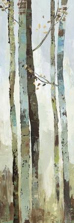 'Towering Trees II' Print - Allison Pearce | AllPosters.com