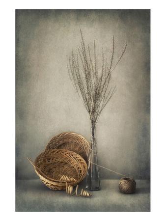 'Almost Autumn' Premium Giclee Print | AllPosters.com