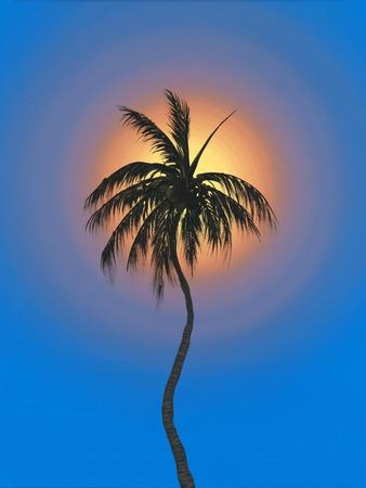 'Aloha Tree' Photo - Thomas Deir | AllPosters.com