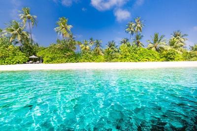 'Amazing summer beach panorama. Exotic island coastline with palm trees ...
