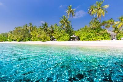 'Amazing summer beach panorama. Exotic island coastline with palm trees ...