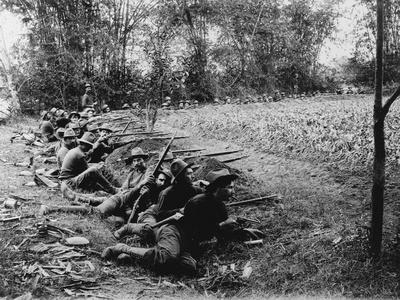 'American Soldiers on Maneuvers During the Philippine Insurrection ...