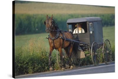 'Amish man in typical coach, Pennsylvania, USA' Stretched Canvas Print ...