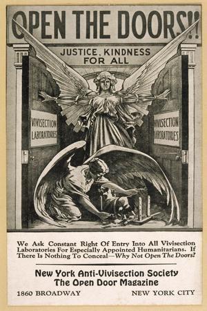 'An American Anti-Vivisection Poster' Prints | AllPosters.com