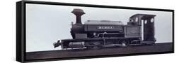 An Image of the Tank Engine 'Burra' Ordered in May 1923 by Austral ...