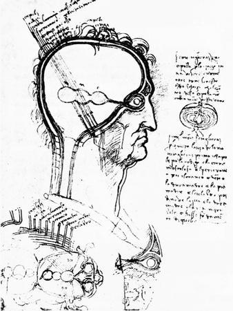 'Anatomical Mechanics of the Eye' Giclee Print | AllPosters.com