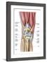 'Anatomy of Human Knee Joint' Posters | AllPosters.com
