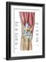 'Anatomy of Human Knee Joint' Posters | AllPosters.com