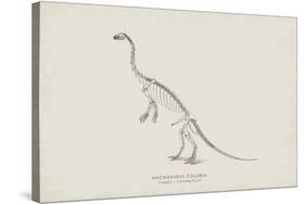 'Anchisaurus' Stretched Canvas Print - The Vintage Collection ...