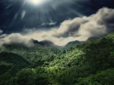 'El Yunque National Park' Photographic Print - Andrea Costantini ...