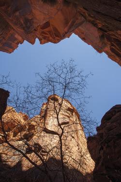 Andrew Geiger Posters for Sale: Prints, Paintings & Wall Art ...