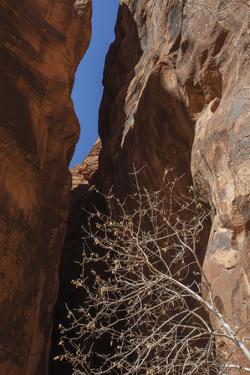 Andrew Geiger Posters for Sale: Prints, Paintings & Wall Art ...