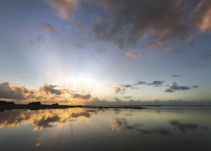 Andrew Geiger Posters for Sale: Prints, Paintings & Wall Art ...