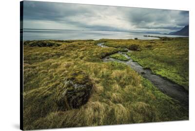 'Luxuriant Landscape' Stretched Canvas Print - Andrew Geiger ...