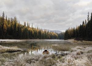 Andrew Geiger Posters for Sale: Prints, Paintings & Wall Art ...