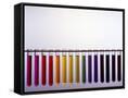 'Universal Indicator Scale' Photographic Print - Andrew Lambert ...