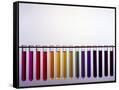 'Universal Indicator Scale' Photographic Print - Andrew Lambert ...