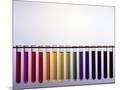 'Universal Indicator Scale' Photographic Print - Andrew Lambert ...