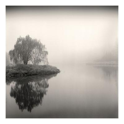 Tree, Study #9 Print - Andrew Ren | AllPosters.com
