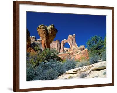 'Angel Arch and the Molar in the Salt Creek Valley, Canyonlands ...