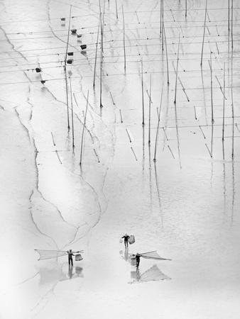 'The Champion' Photographic Print - Angela Muliani | AllPosters.com