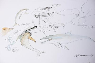'Animals (fish) 8 (drawing)' Giclee Print - Ralph Steadman | AllPosters.com