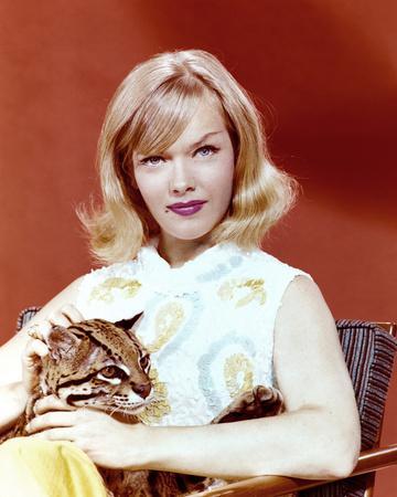 'Anne Francis' Photo | AllPosters.com