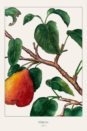 'PAcron' Giclee Print - Annika John | AllPosters.com