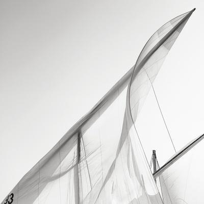 'Absolute Bearing' Giclee Print - Anthony Lamb | AllPosters.com