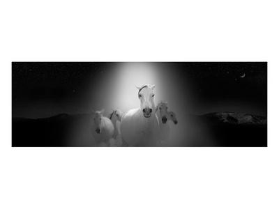 'Apparitions of Equus' Posters - Rosa Mesa | AllPosters.com