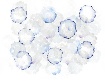 'April Cross' Giclee Print - Sarah Von Dreele | AllPosters.com