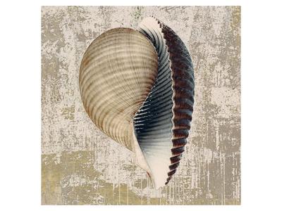 'Aqua Marine I' Poster | AllPosters.com