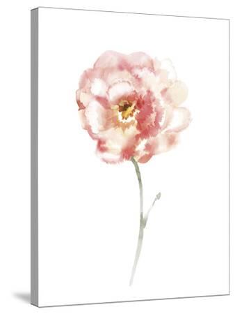 'Aquarelle Blooms - Spring' Stretched Canvas Print - Sandra Jacobs ...