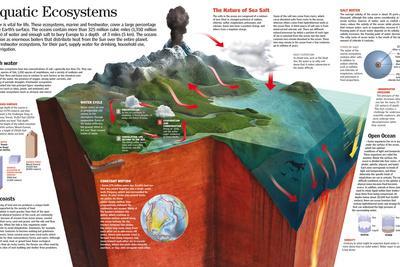 'Aquatic ecosystems.' Photographic Print | AllPosters.com