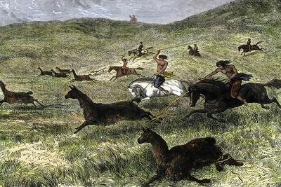 'Argentine Indians Using Bolas or Boleadoras (Jet Weapon) to Hunt ...