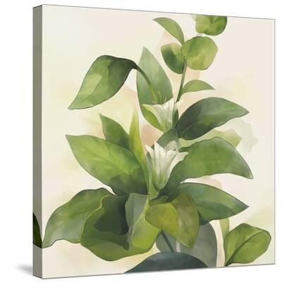 'Hazy Tropics - Grow' Stretched Canvas Print - Aria Ellis | AllPosters.com